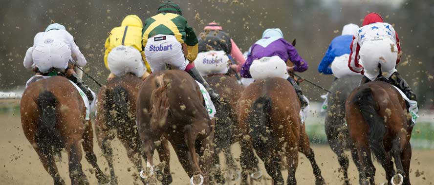 Scoop6 Tips | Expert, Free & Every Day | Tote