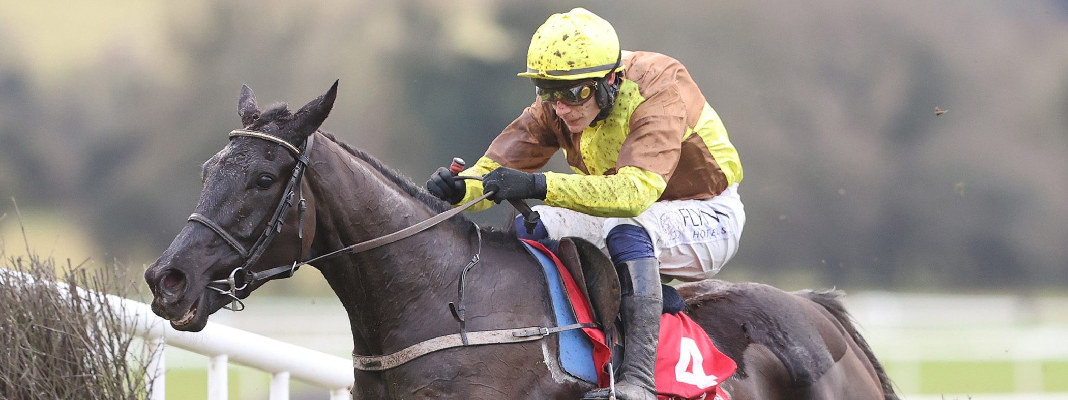 Andrew Mount's Dublin Racing Festival Dossier - Day One | Tote