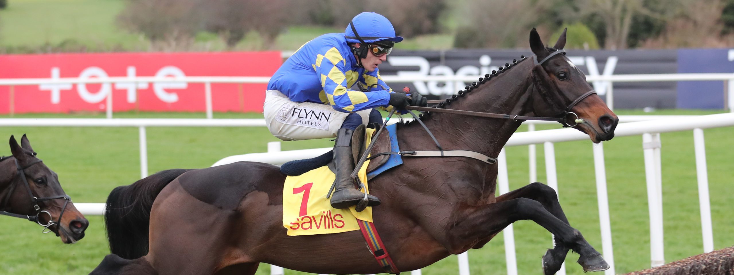 Andrew Mount's Kempton and Fairyhouse Fancies | Tote