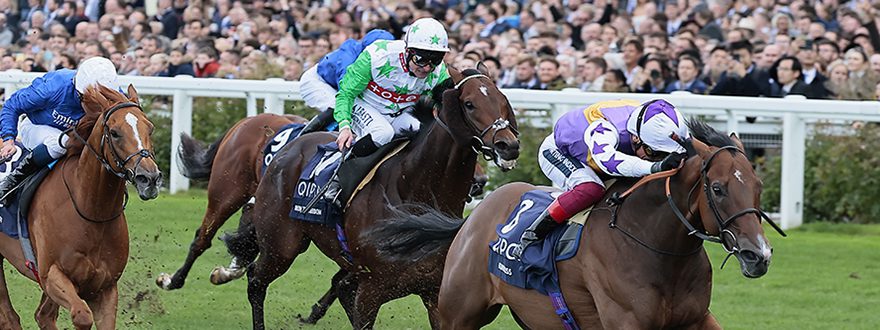 Andrew Mount's British Champions Day Preview | Tote