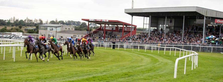 Best Tips At Roscommon Races | Tote