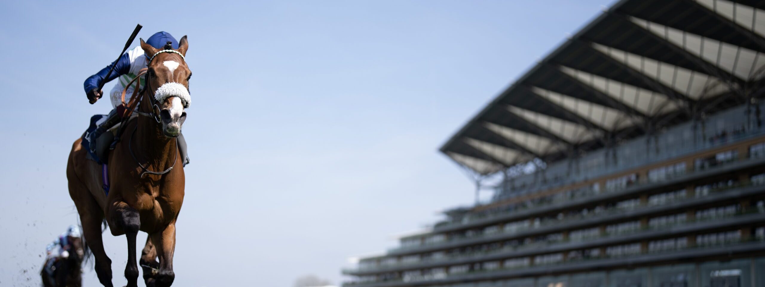 Andrew Mount's Royal Ascot Answers | Tote